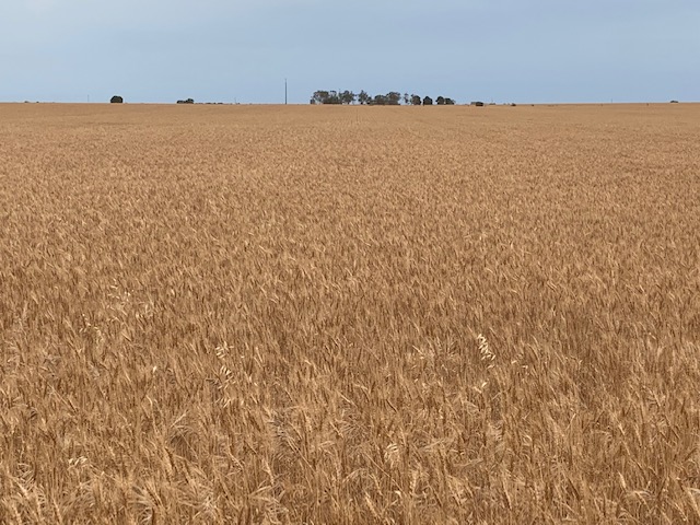 233 Port Parham Rd, Dublin, SA 5501 - Property Details