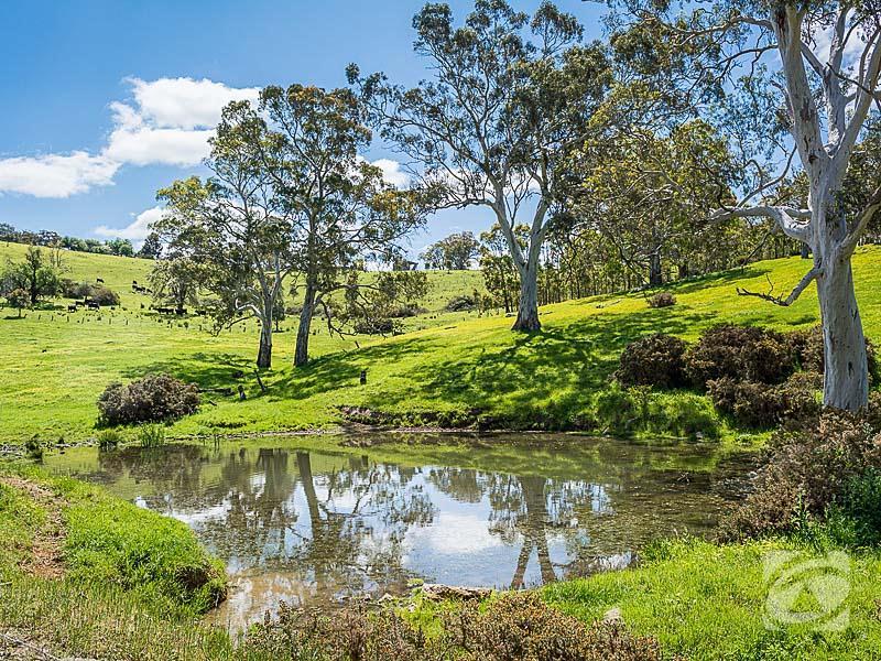 Cosgrove Road, Macclesfield, SA 5153 - Property Details