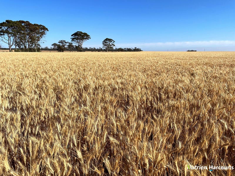 12224 Goldfields Road, Baandee, WA 6412 - Property Details