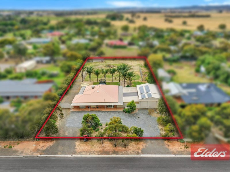 19 Twartz Road, Roseworthy, SA 5371 - Property Details