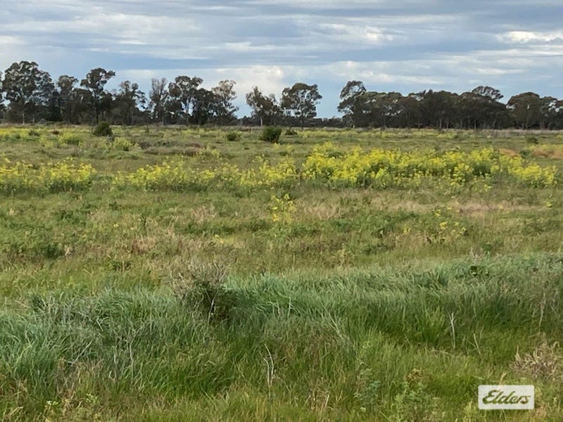 Lot 2, 536 Boort Mitiamo Road, Calivil, Vic 3573 - Property Details