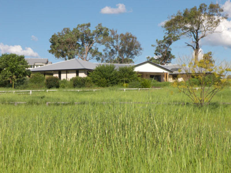 646 Kerry Road, Kerry, Qld 4285 - realestate.com.au