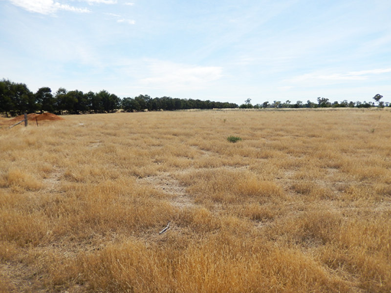 1426 Manley Road, Merrigum, VIC 3618 - realestate.com.au