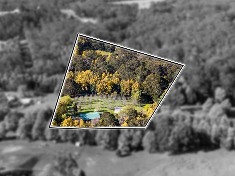 55 Factory Road, Callignee, Vic 3844 - House for Sale - realestate.com.au