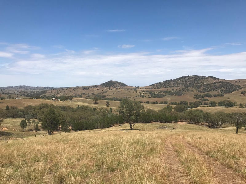 477 / 1 Mount McDonald Road, Cowra, NSW 2794 - Property Details