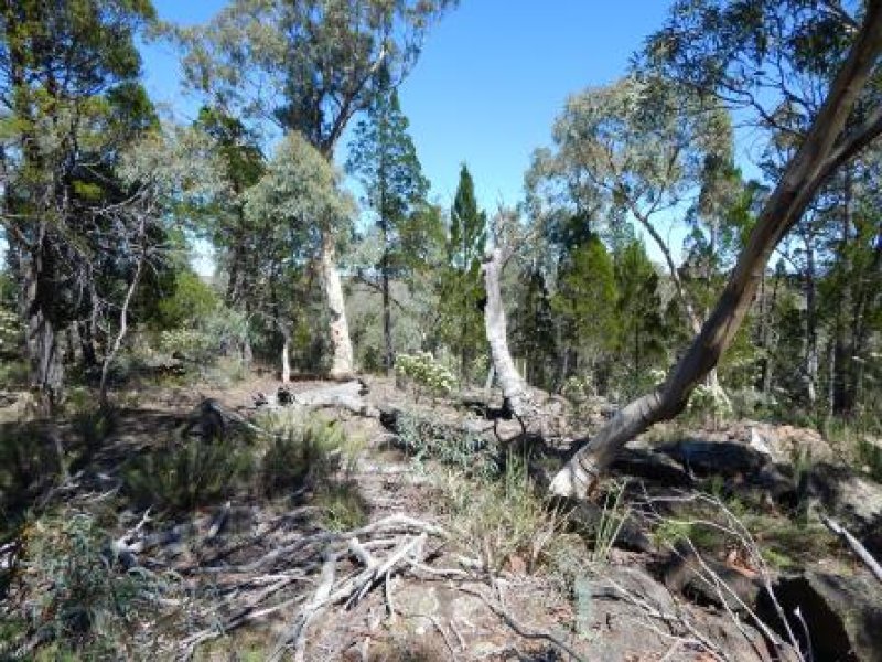 Lot 3, Scotts Road, Cooma, NSW 2630 - Property Details