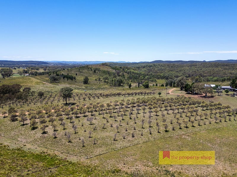 1732 Spring Ridge Road, Gulgong, NSW 2852 - Property Details