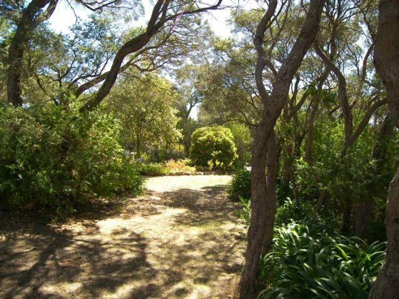 67 Murray Street, Rye, VIC 3941 - realestate.com.au