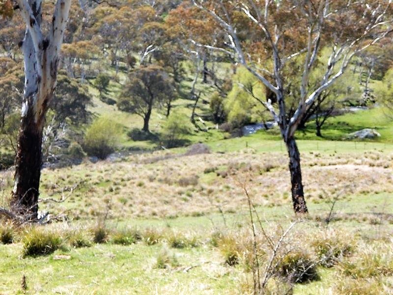Lot 22 Bugtown Road, Adaminaby, NSW 2629 - Property Details