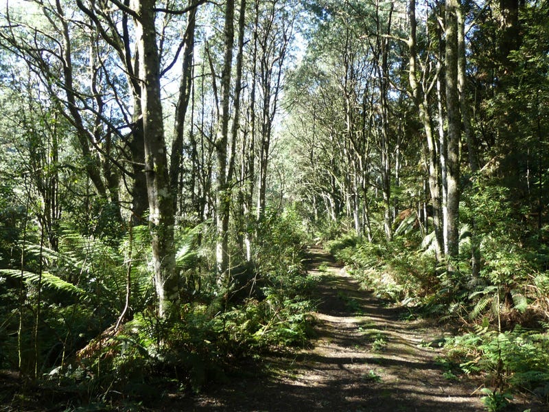 1405 Bogan Road, Golden Valley, TAS 7304 - realestate.com.au