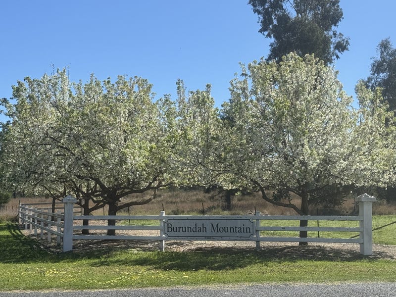 80 Burundah Drive Warialda NSW 2402, Inverell, NSW 2360 - Property Details