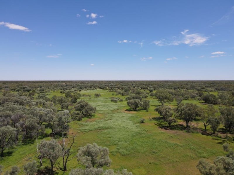 Property 700200767, Eulo, Qld 4491 - Property Details