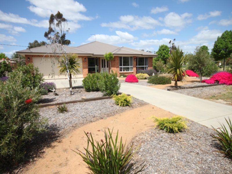 26 King Street, The Rock, NSW 2655 - realestate.com.au