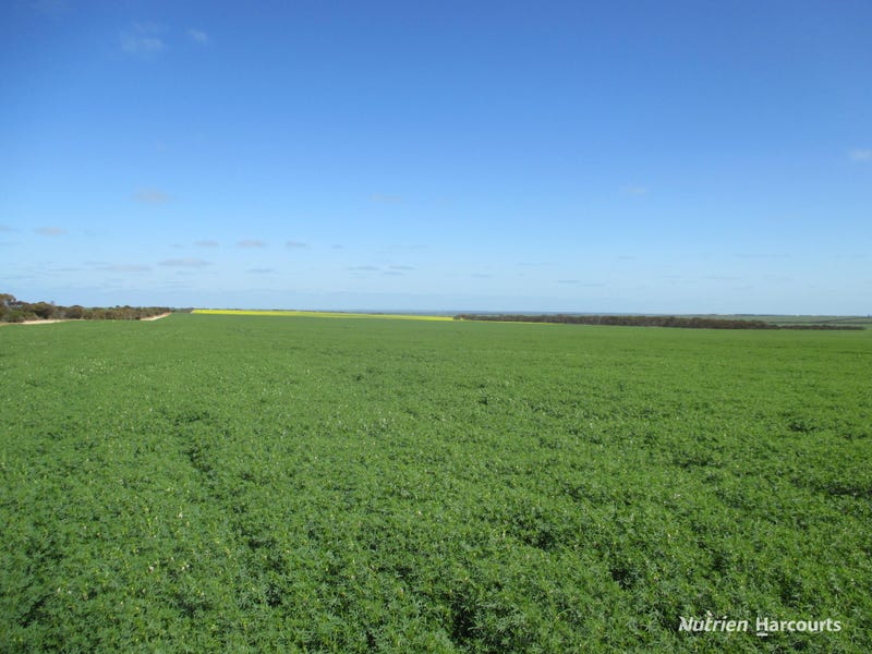 8717 Hyden-Lake King Road, Varley, WA 6355 - Cropping for Sale ...