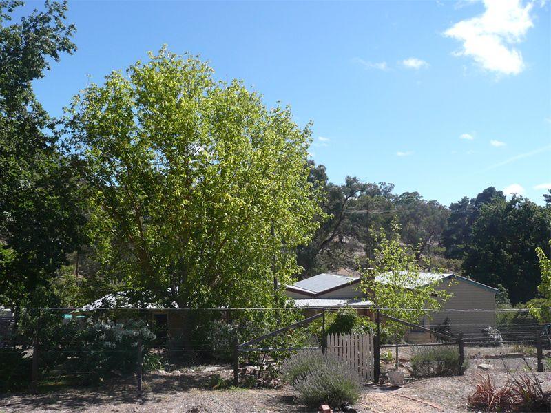 120 Spring Gully Road, Fryerstown, VIC 3451 - realestate.com.au