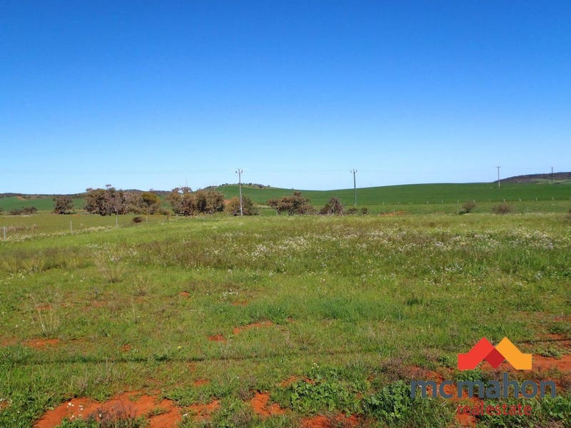 21 Green Drive, Nabawa, WA 6532 - realestate.com.au