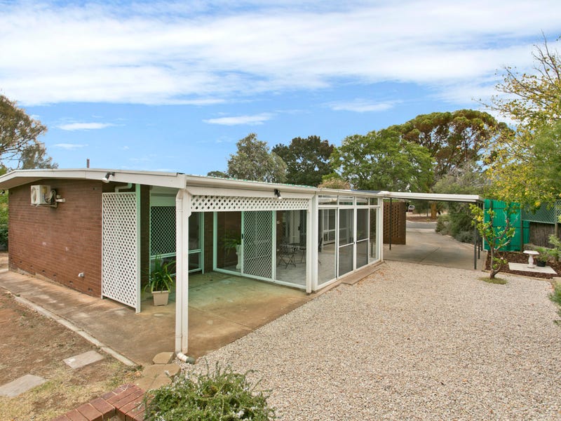 31 Chapel Road, Modbury North, SA 5092 - realestate.com.au