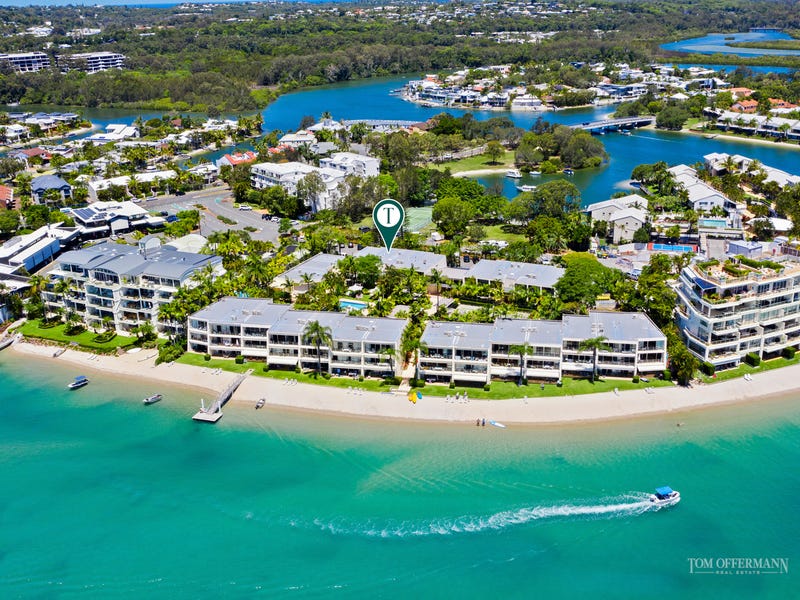 17/6 Quamby Place, Noosa Heads, QLD 4567 - realestate.com.au