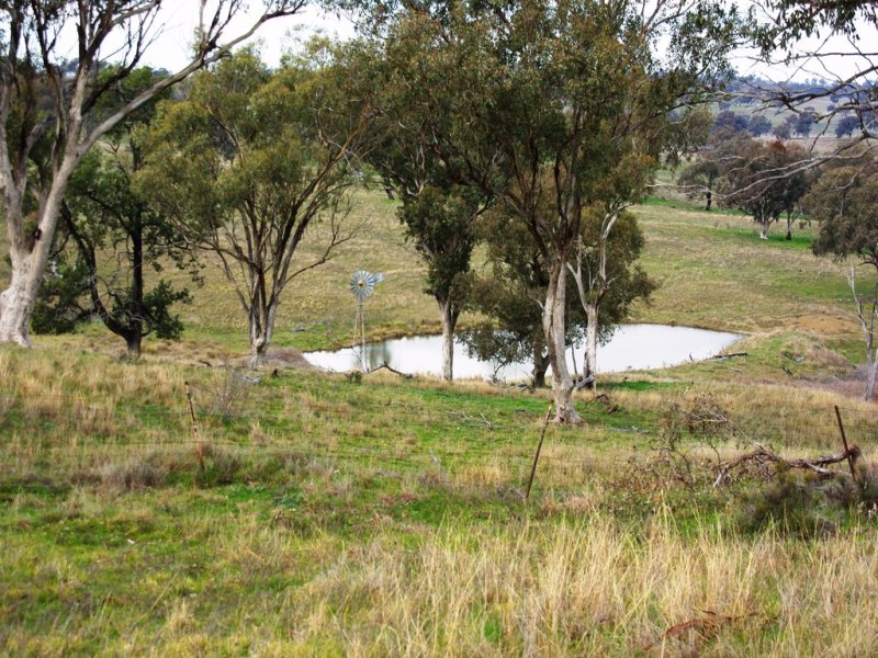 Property 7764093, Mumbil, NSW 2820 - Property Details