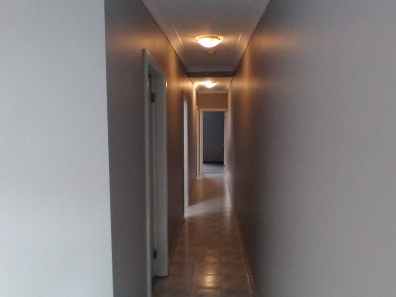 2 Bedroom Properties for Rent in Glebe, NSW 2037 Pg. 25 - realestate.com.au