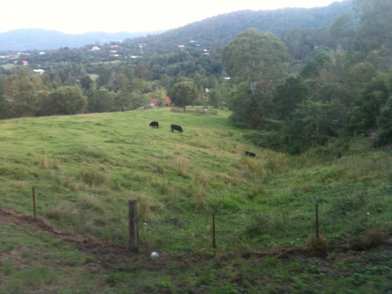 1986 Mount Samson Road, Yugar, QLD 4520 - realestate.com.au