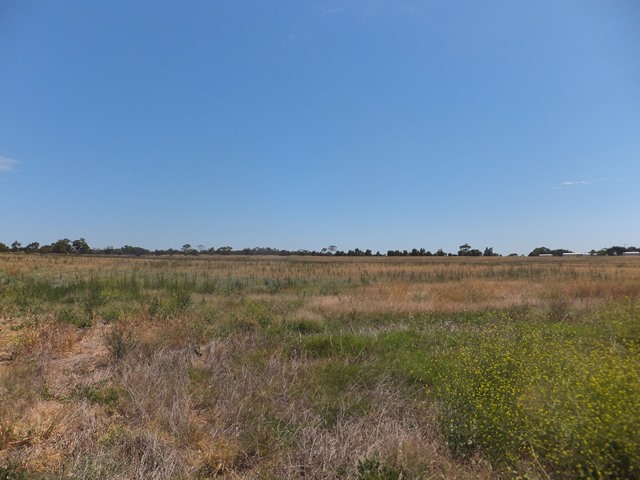 Section 54 Finniss Milang Road, Finniss, SA 5255 - Property Details