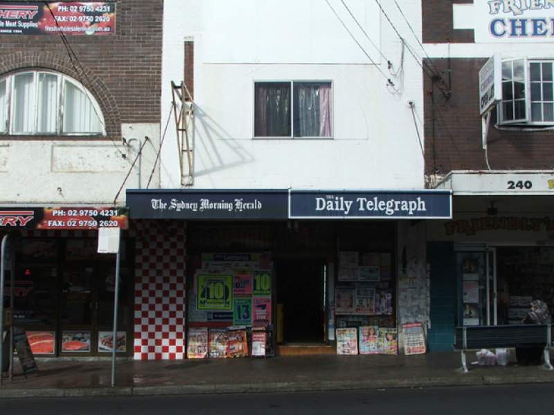 238 THE BOULEVARDE, Punchbowl, NSW 2196 - Property Details