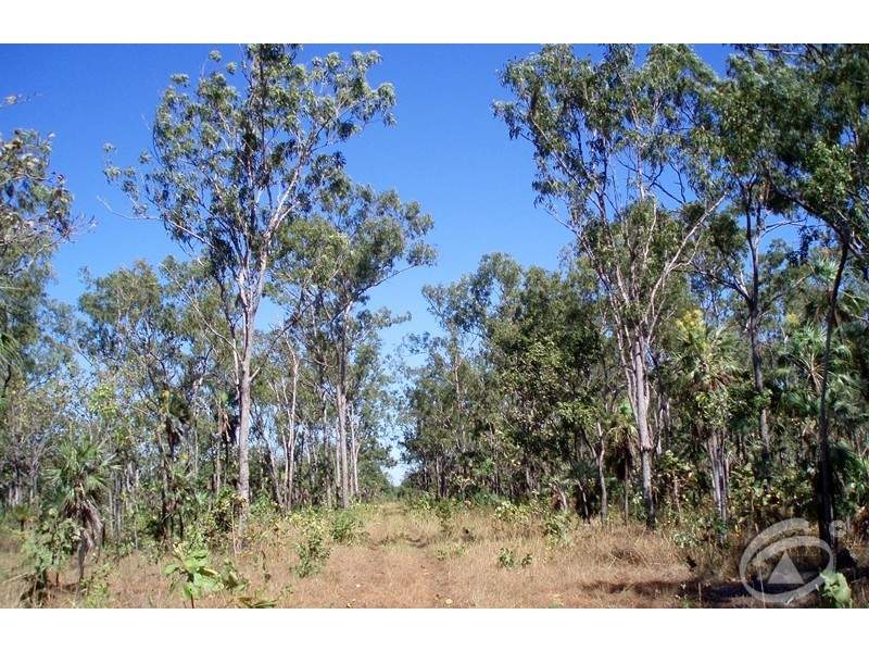 4420 Fog Bay Road, Dundee Forest, NT 0840 - realestate.com.au