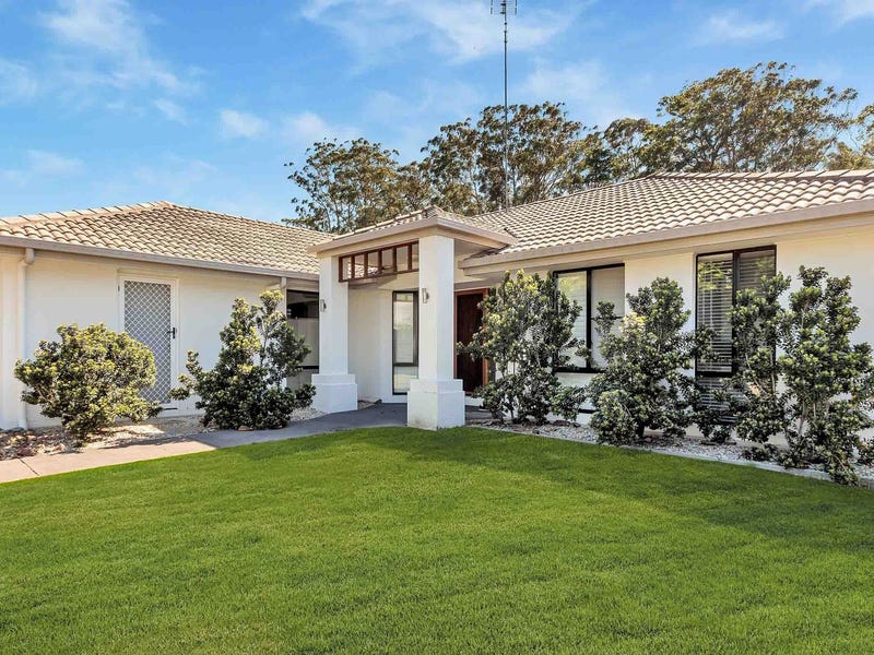 19 Boobook Court, Buderim, QLD 4556 - realestate.com.au