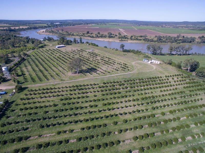 26 Walla Street, Wallaville, QLD 4671 - realestate.com.au