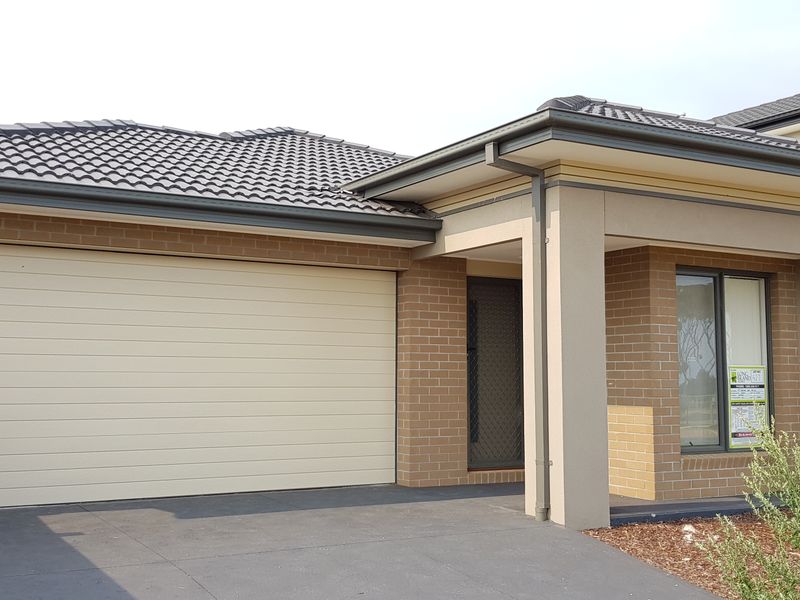 19 Mulloway Drive, Point Cook, VIC 3030 - realestate.com.au