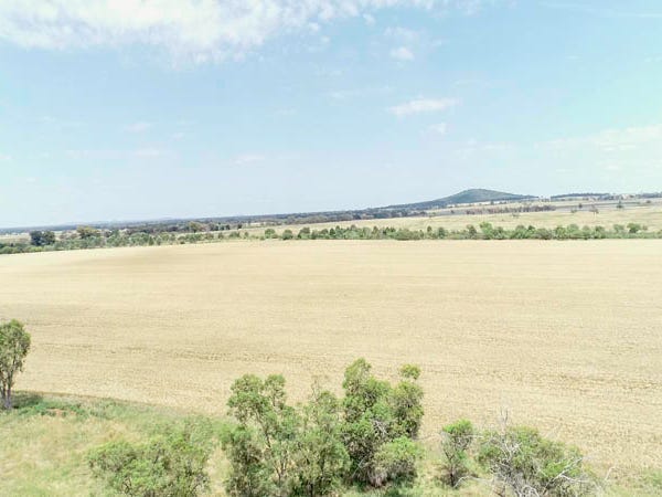 130 Ootha Road, Ootha, NSW 2875 - Property Details