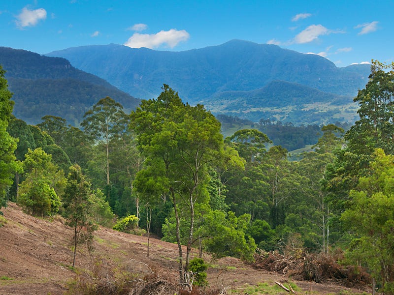 183 Tyalgum Ridge Road, Tyalgum, NSW 2484 - Property Details