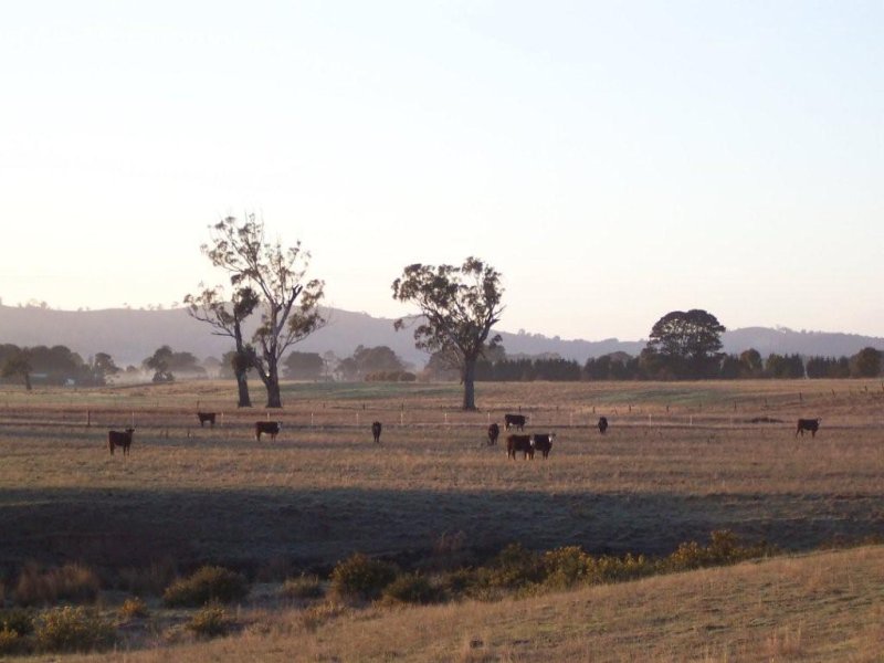 Three Chain Road, Lancefield, Vic 3435 - Property Details