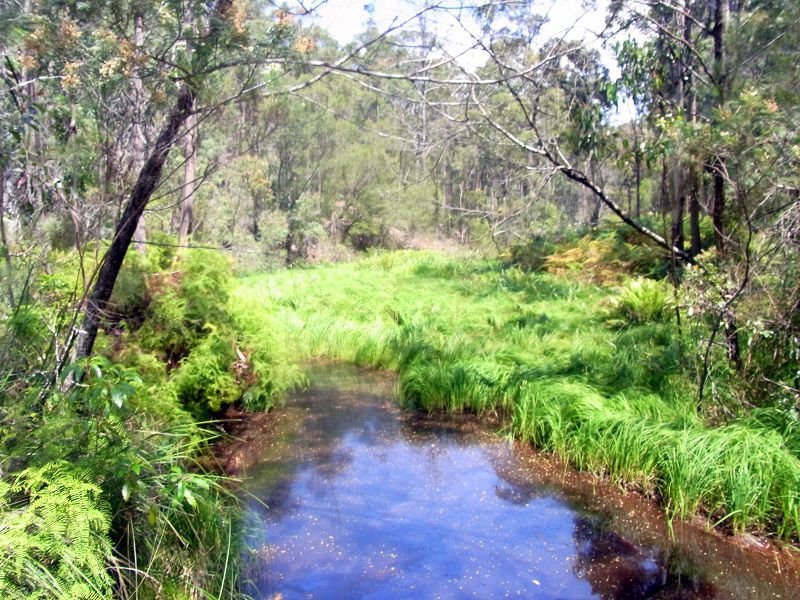 L772 Mt Darragh Road, Lochiel, NSW 2549 - Property Details