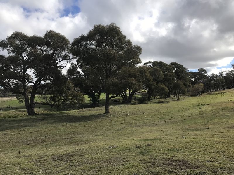 2728 Junction Point Rd, Binda, NSW 2583 - Property Details