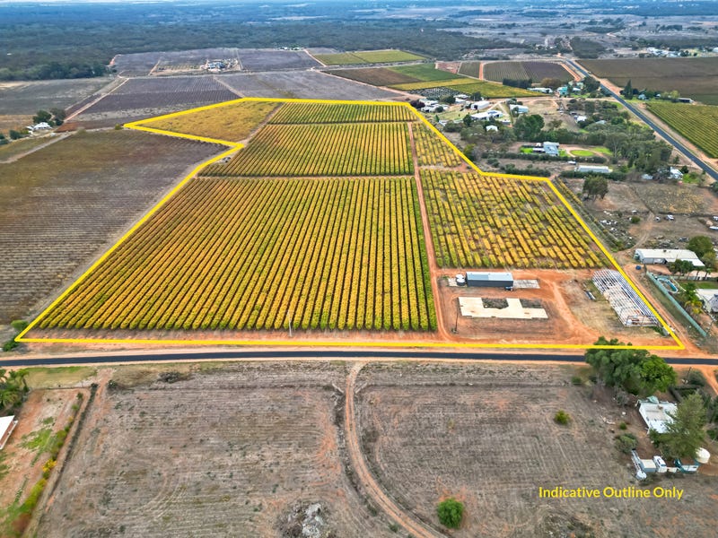 150 Ropers Road, Cardross, Vic 3496 - Viticulture/vineyard for Sale ...