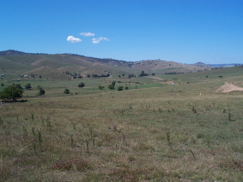356 Omeo Valley Road, Omeo, Vic 3898 - Property Details
