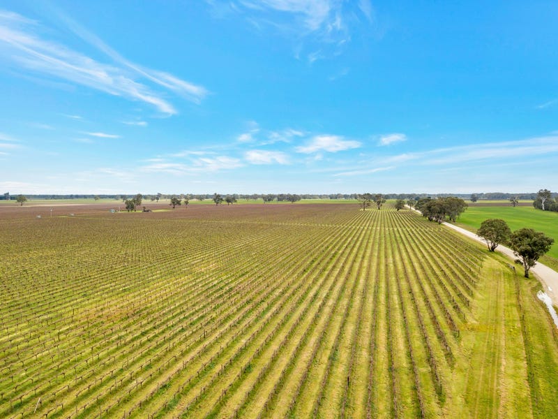 Section 469 V & A Lane, Coonawarra, SA 5263 - Property Details