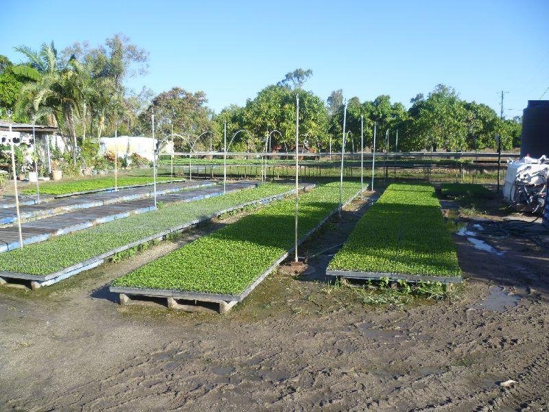 305 Lands Road, Gumlu, Qld 4805 - Property Details