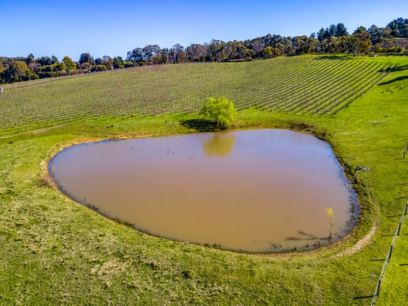 11 Onkaparinga Valley Road, Verdun, SA 5245 - realestate.com.au