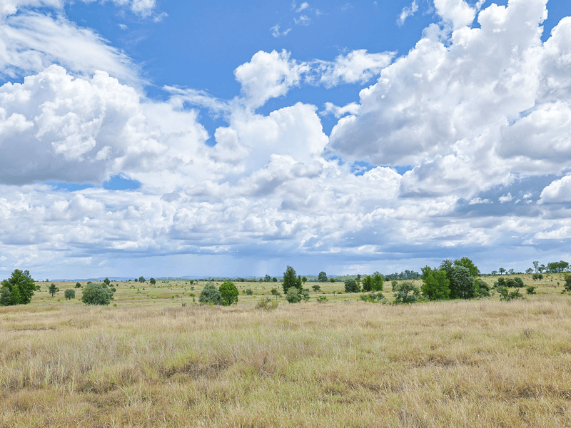 1638 Willows-Rutland Road, Willows, Qld 4702 - Property Details