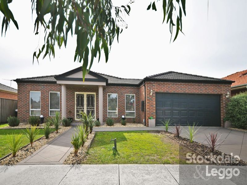 8 Marigold Street, South Morang, VIC 3752 - realestate.com.au