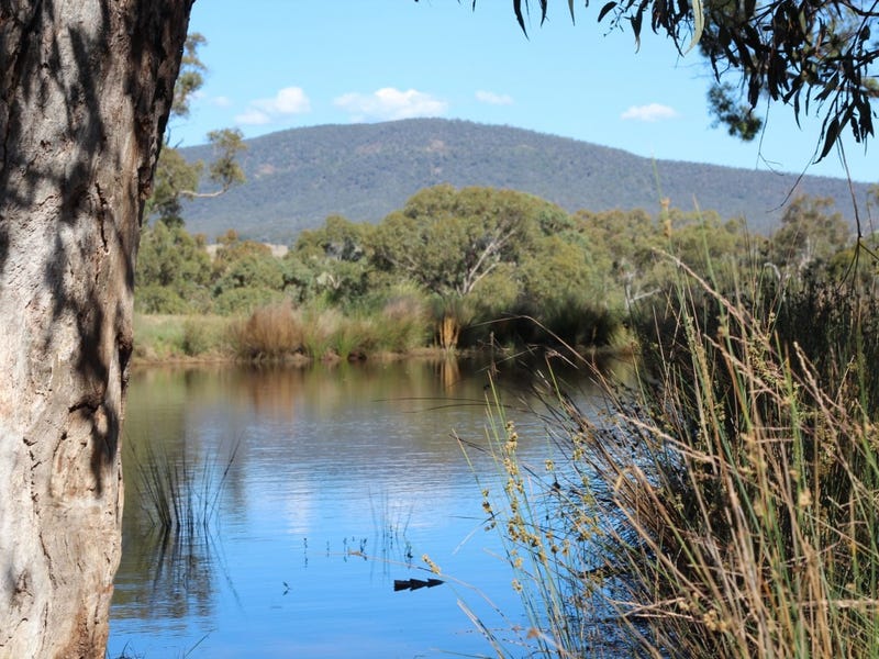 1021 Jerangle Road, Bredbo, NSW 2626 - Property Details