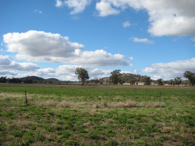 Property 7291654, Condobolin, NSW 2877 - Property Details