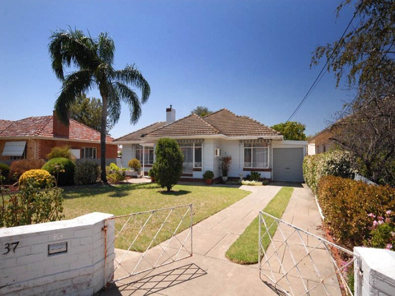 37 Autumn Avenue, Lockleys, SA 5032 - Property Details