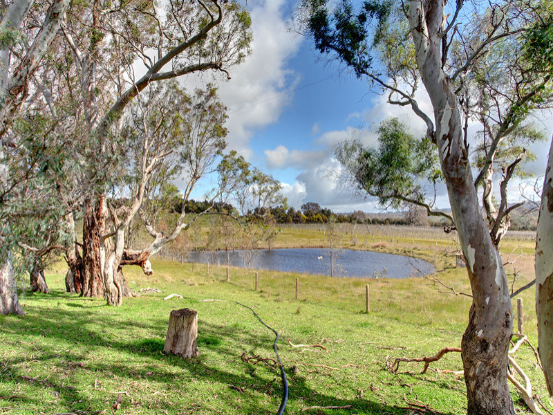 Lot 2 Harrogate Road, Harrogate, SA 5244 - realestate.com.au