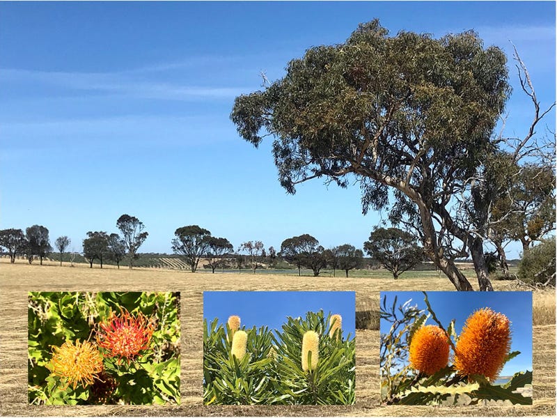 Property 700009706, Finniss, SA 5255 - Property Details