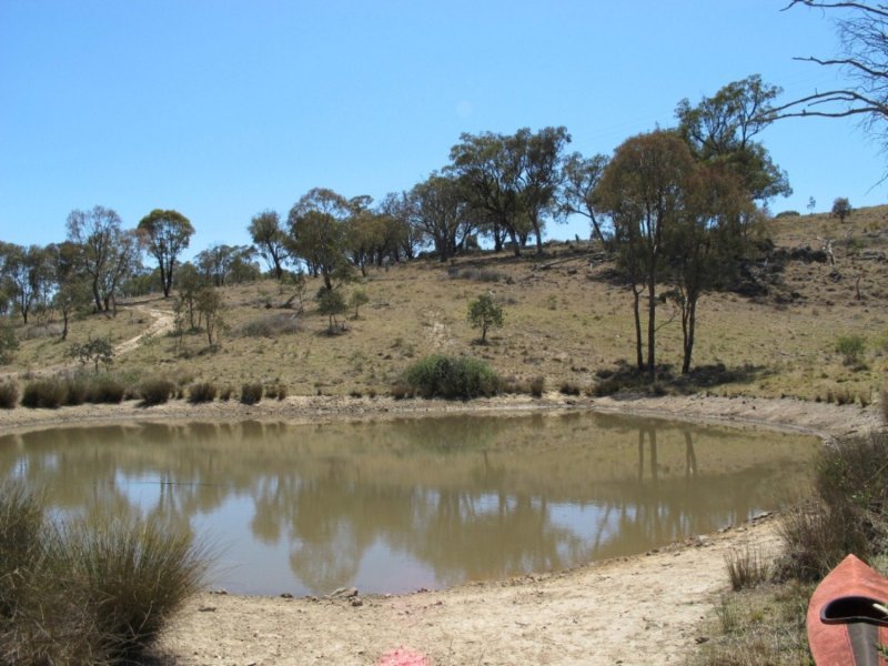 222 Pyramul Road, Mudgee, NSW 2850 - Property Details