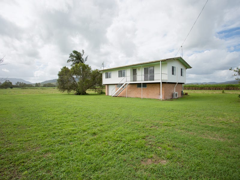 242 Mount Martin Loop Road, Mirani, QLD 4754 - realestate.com.au